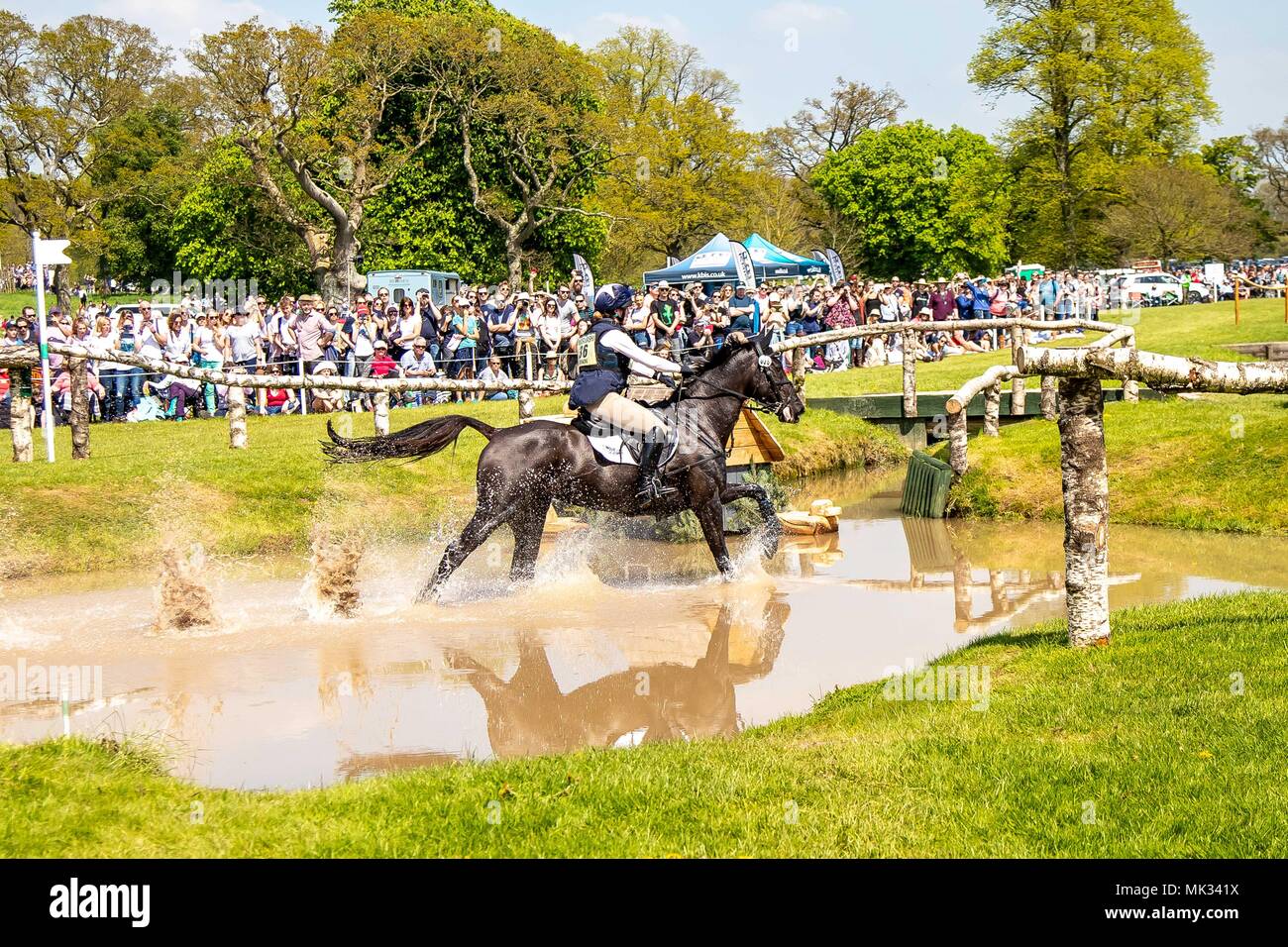 Doublet horse hi-res stock photography and images - Alamy