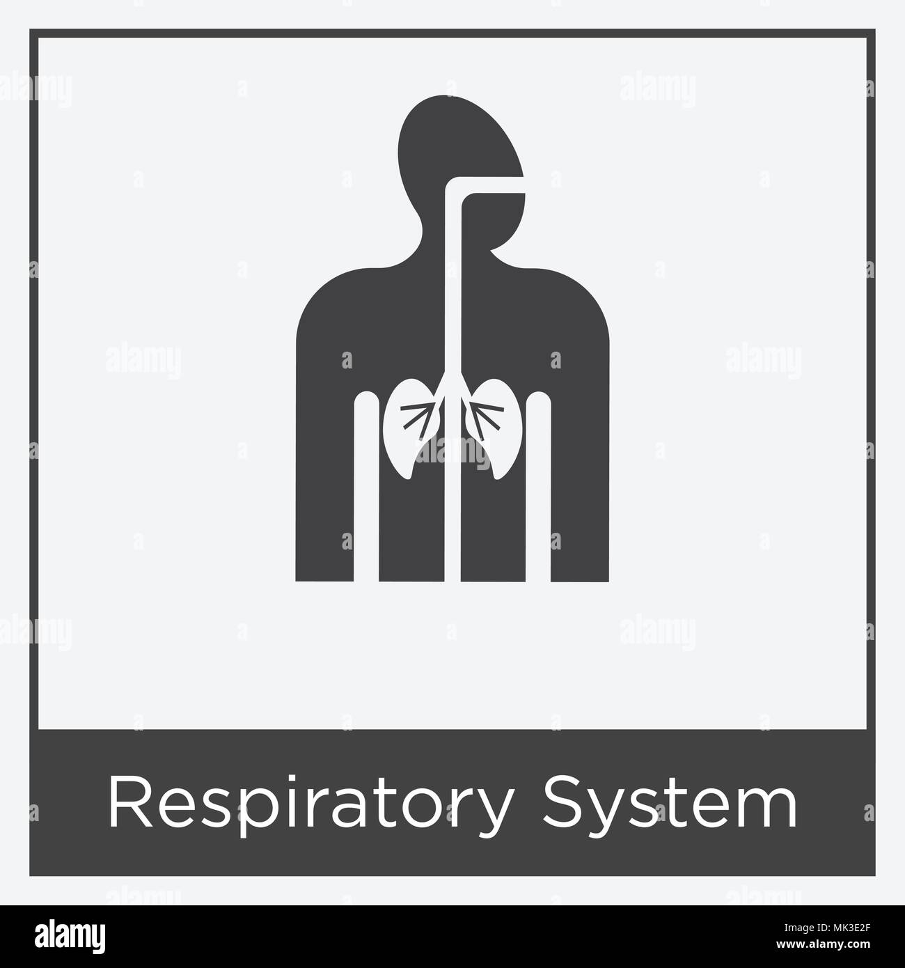 Respiratory System icon isolated on white background with gray frame ...