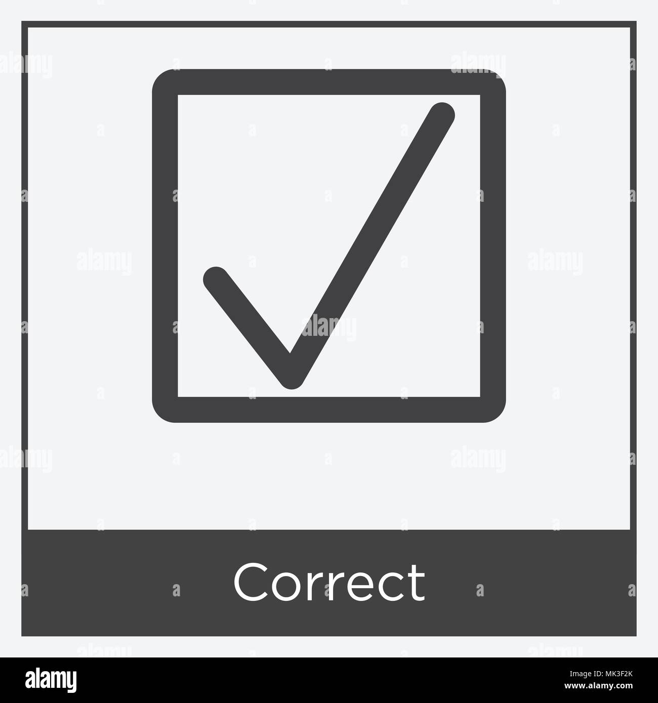 Correct icon isolated on white background with gray frame, sign and ...