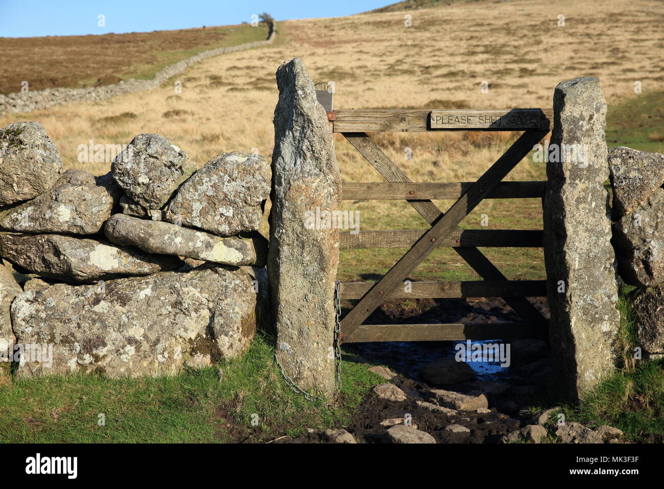 View towards Rippon tor, Dartmoor National park, Devon, England, UK ...