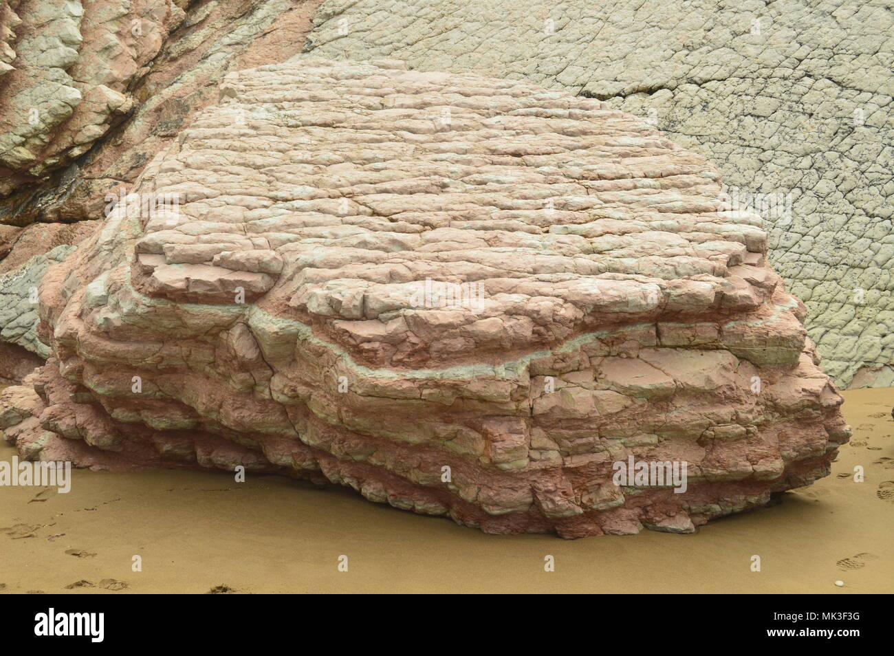 Pink Sandstone Fossil Records With Flysch-type Formations From the ...
