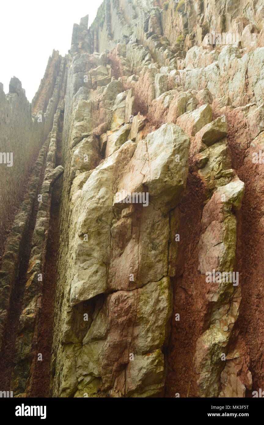 Pieces Of Pink Sandstone Wall Composed Of Fossil Records With ...
