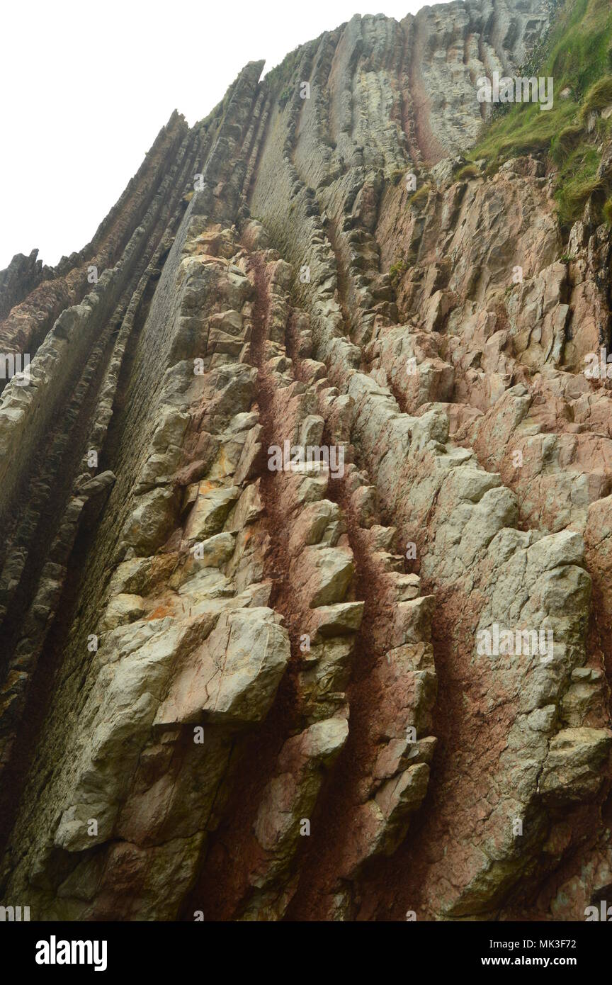Pieces Of Pink Sandstone Wall Composed Of Fossil Records With ...