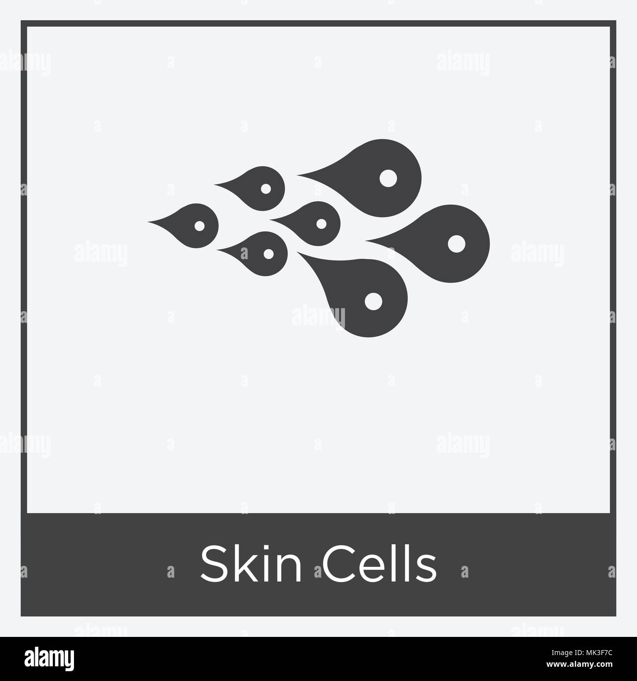 Skin Cells icon isolated on white background with gray frame, sign and ...