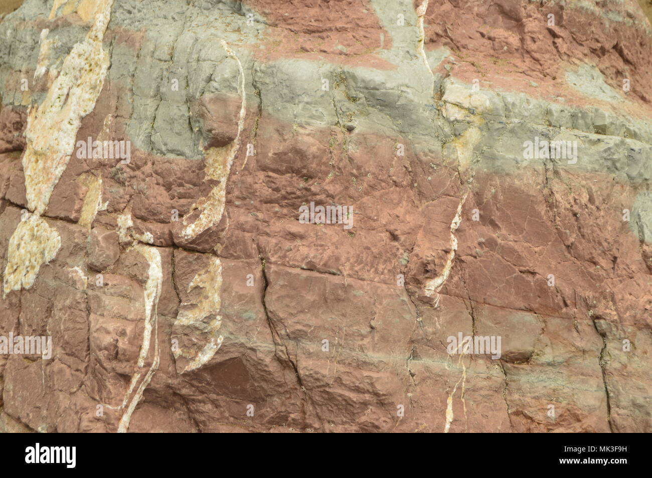 Pink Sandstone Wall Composed Of Fossil Records With Flysch-type ...