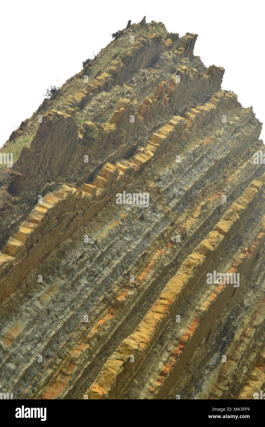 Rock Composed of Fossil Records with Formations of the Flysch Type of ...