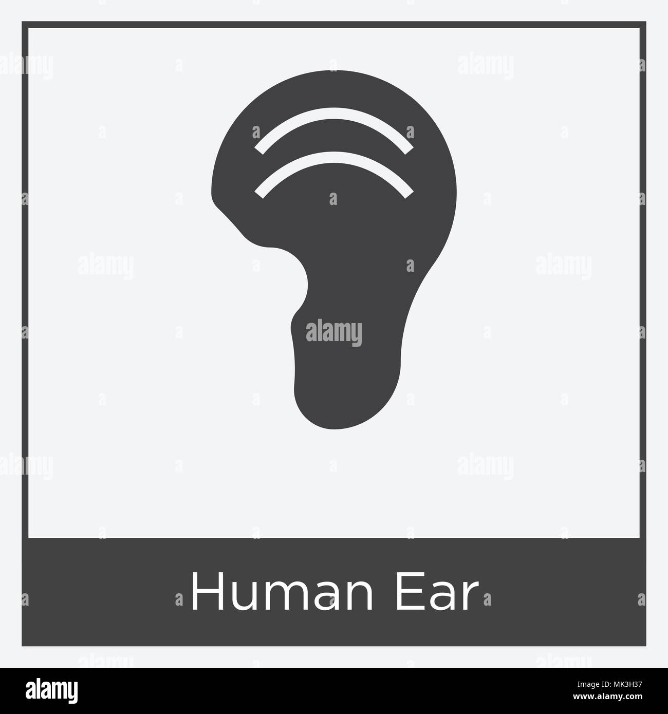 Human Ear icon isolated on white background with gray frame, sign and ...