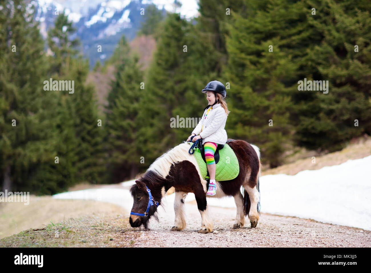 Kids riding pony in the Alps mountains. Family spring vacation on horse ...