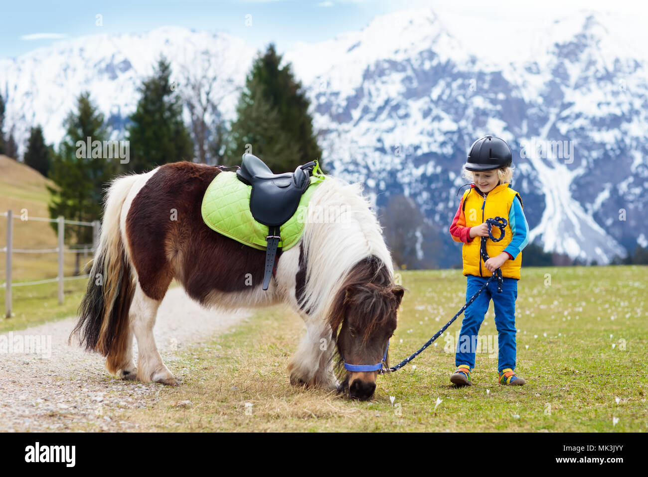 Kids riding pony in the Alps mountains. Family spring vacation on horse ...