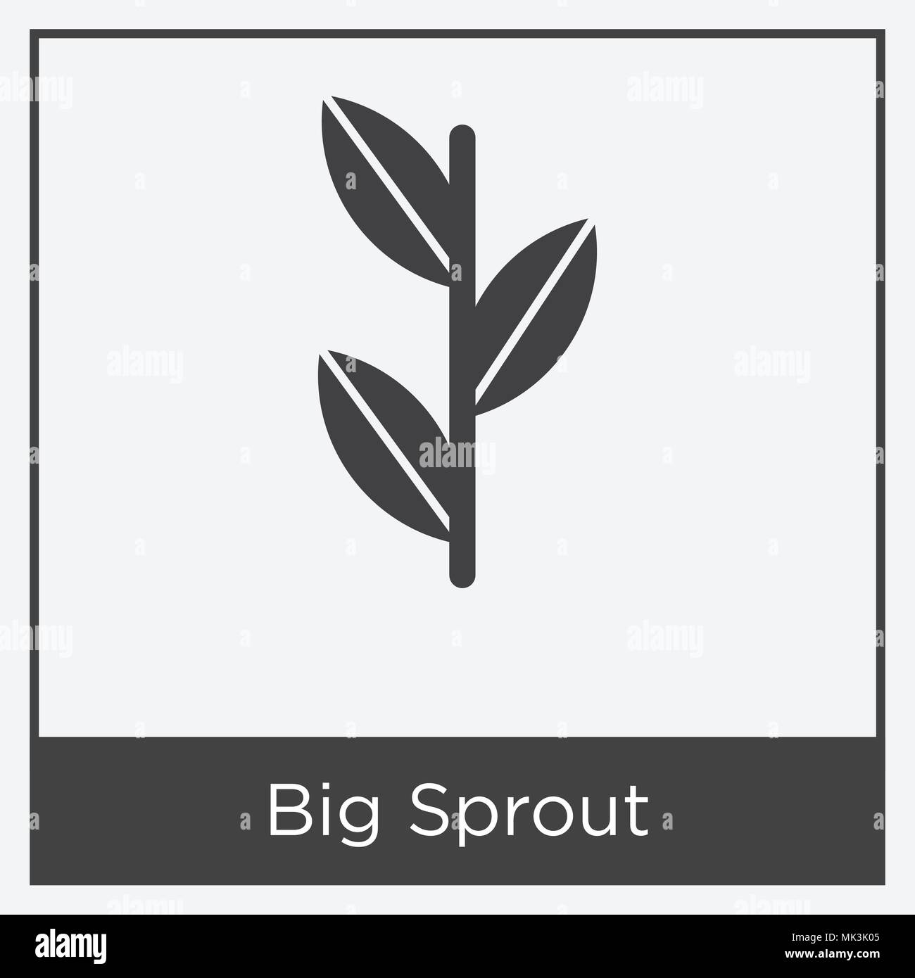 Big Sprout icon isolated on white background with gray frame, sign and ...