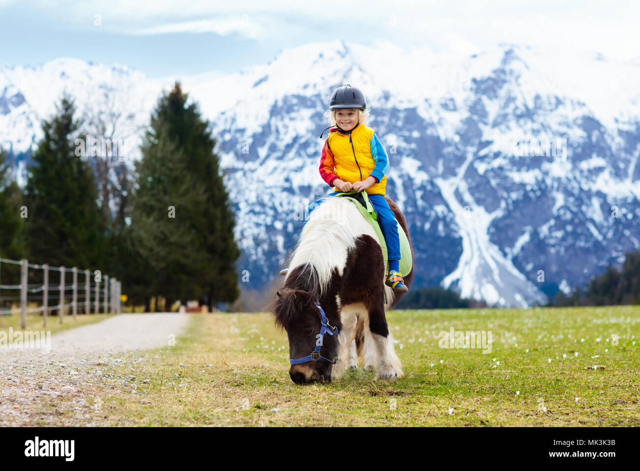 Kids riding pony in the Alps mountains. Family spring vacation on horse ...