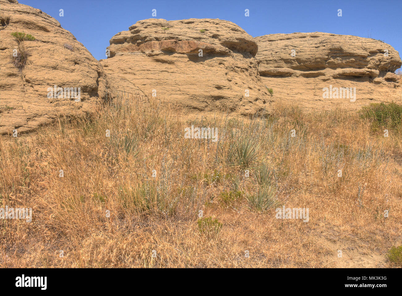 Billings mt hi-res stock photography and images - Alamy