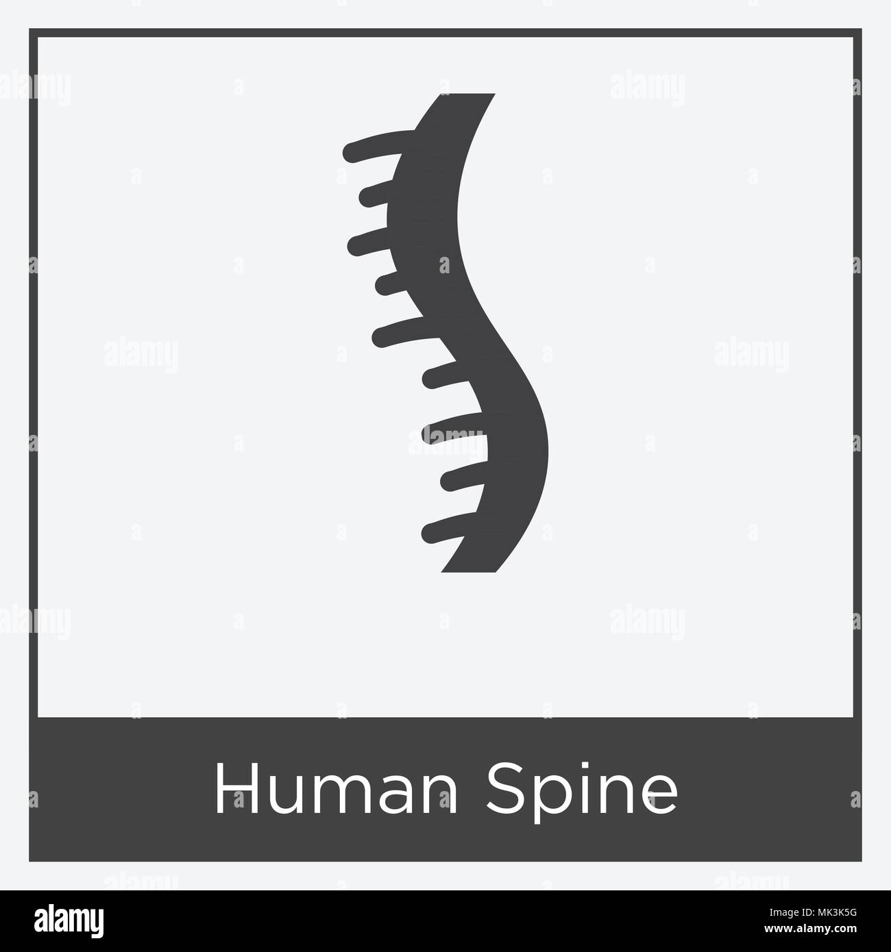 Human Spine icon isolated on white background with gray frame, sign and ...