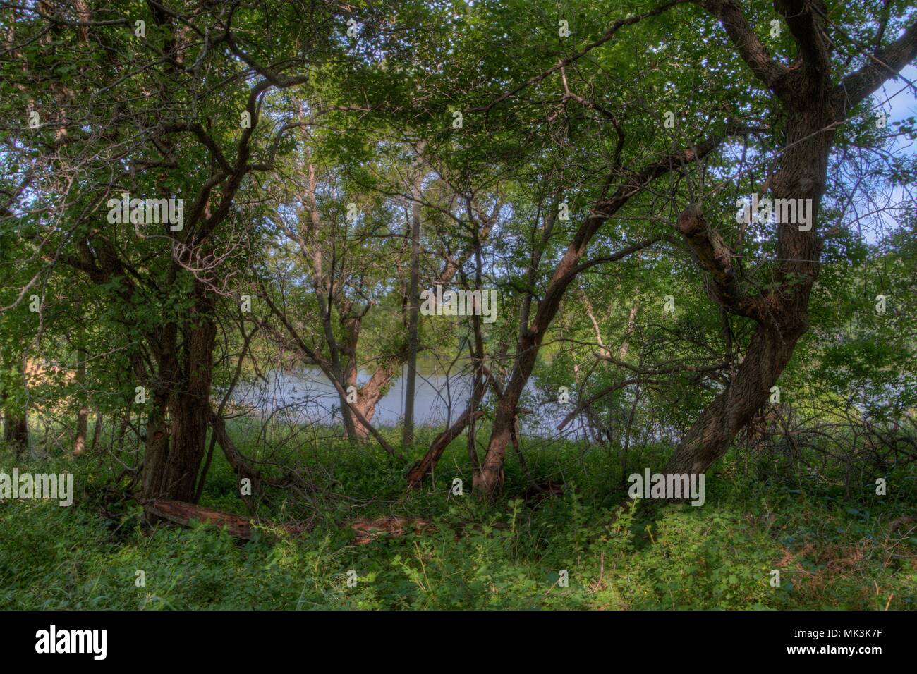 Lake Shetek is a State park in Southern Minnesota. Taken during Summer ...
