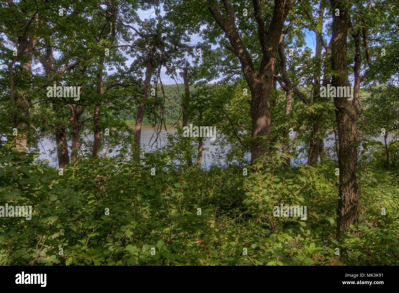 Lake Shetek is a State park in Southern Minnesota. Taken during Summer ...