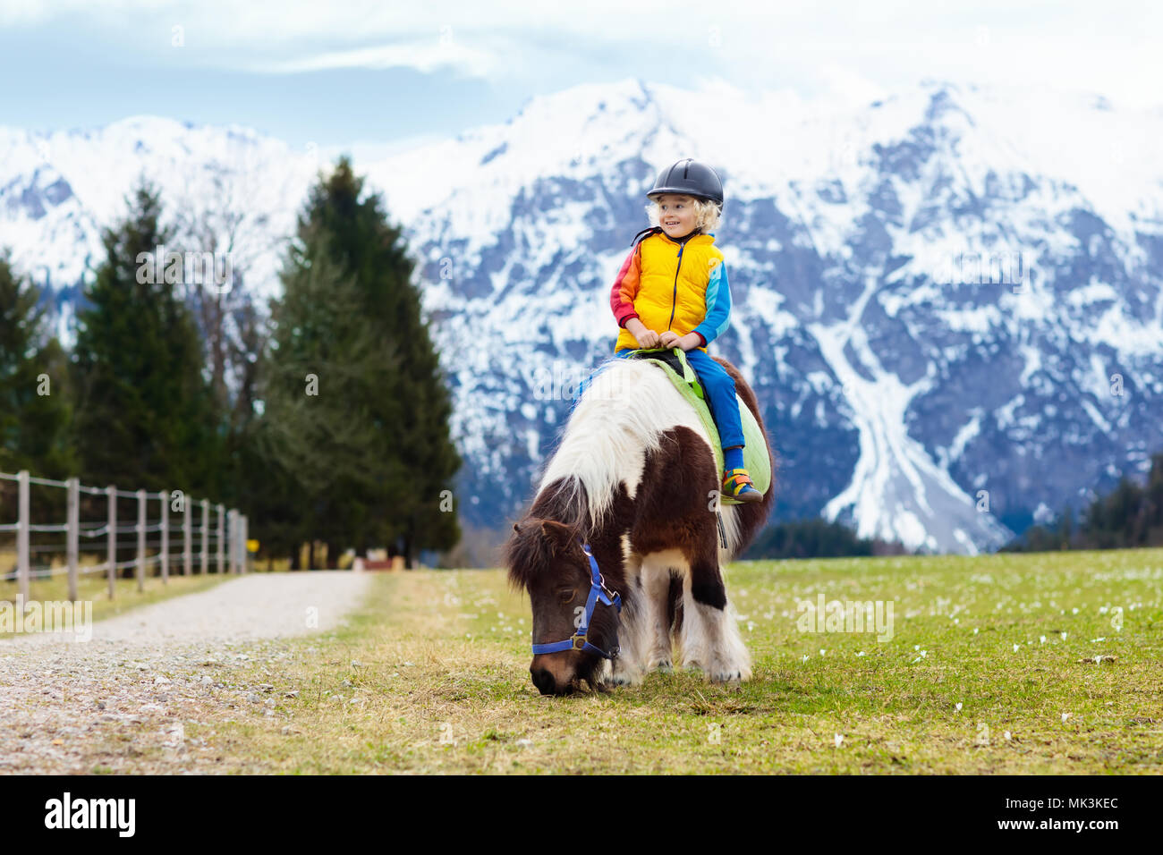 Kids riding pony in the Alps mountains. Family spring vacation on horse ...