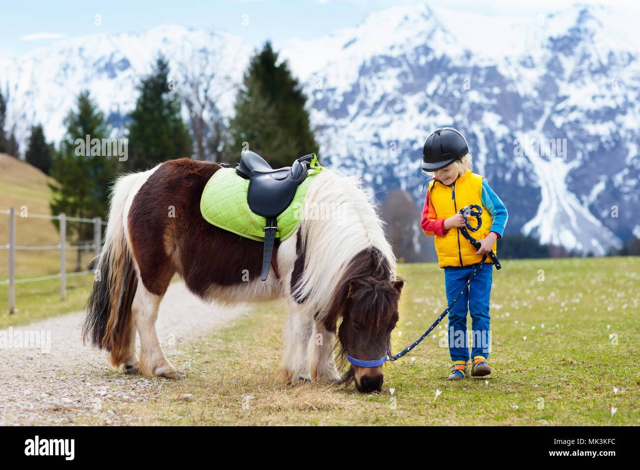 Kids riding pony in the Alps mountains. Family spring vacation on horse ...
