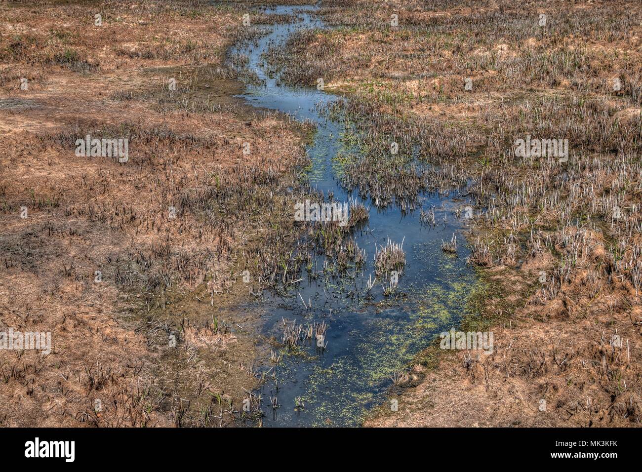Lake Shetek is a State park in Southern Minnesota. Taken during Summer ...