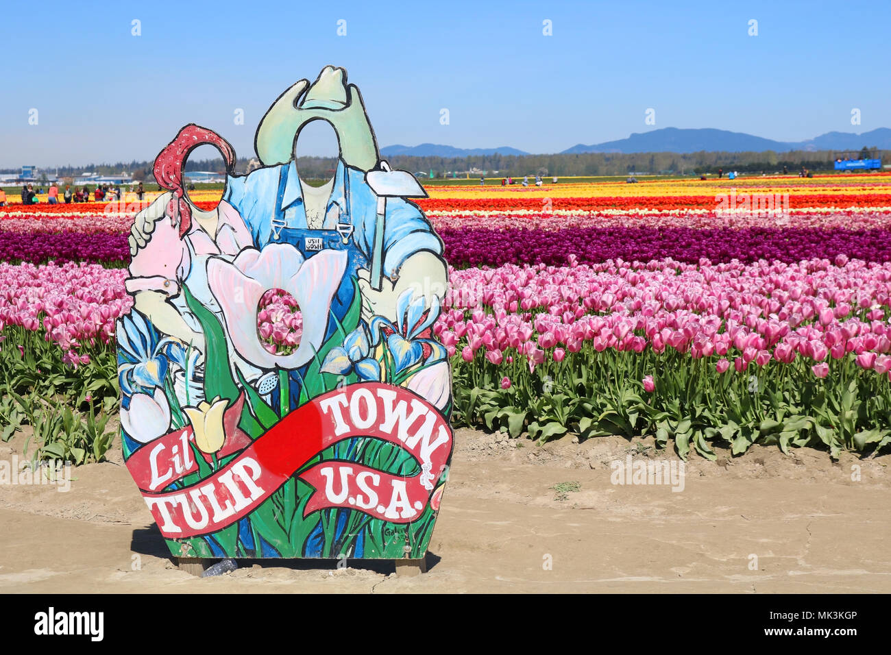 Tulip Town cardboard cutout of farmer and wife with a tuip below. The ...