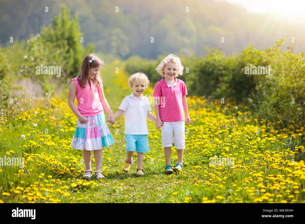 Kids play in yellow dandelion field. Child picking summer flowers ...