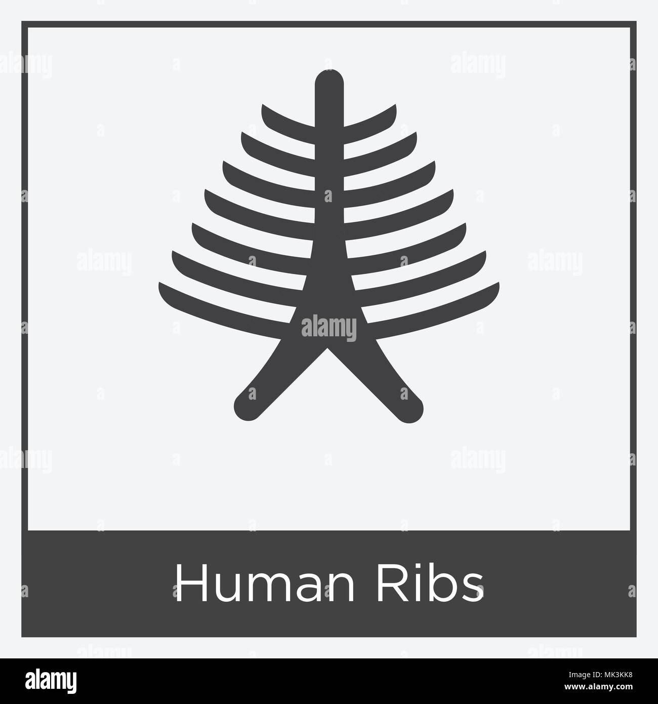 Thorax rib fracture hi-res stock photography and images - Alamy