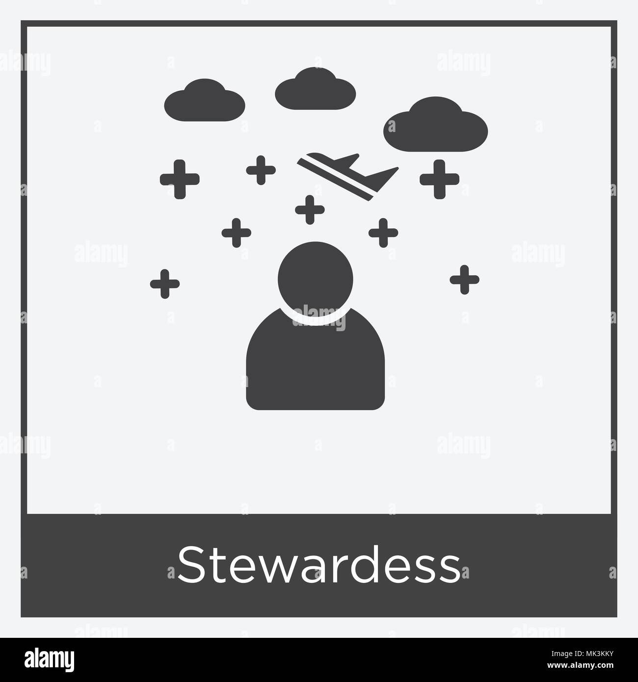 Stewardess icon isolated on white background with gray frame, sign and ...