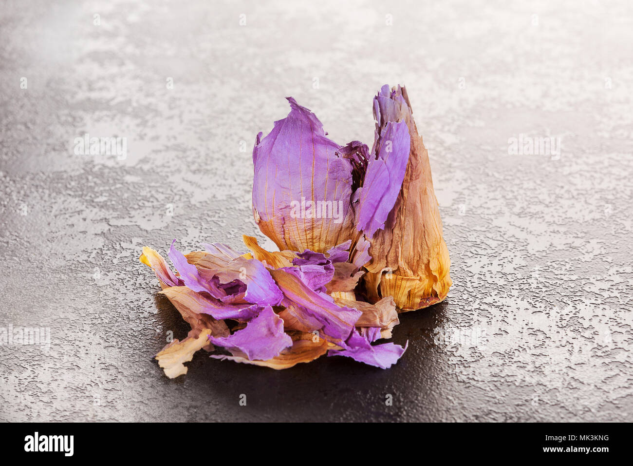Dried blue lotus, sacred psychoactive plant on black background Stock ...