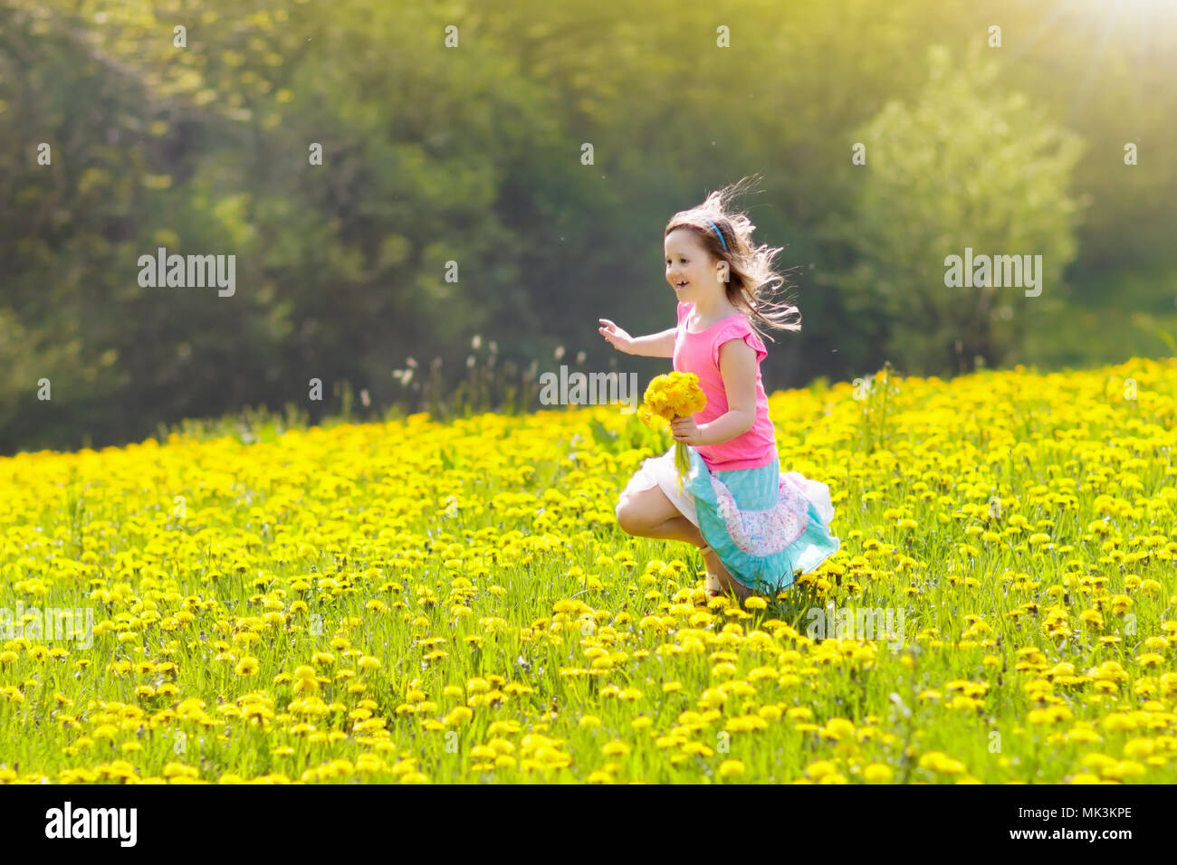 Kids play in yellow dandelion field. Child picking summer flowers ...