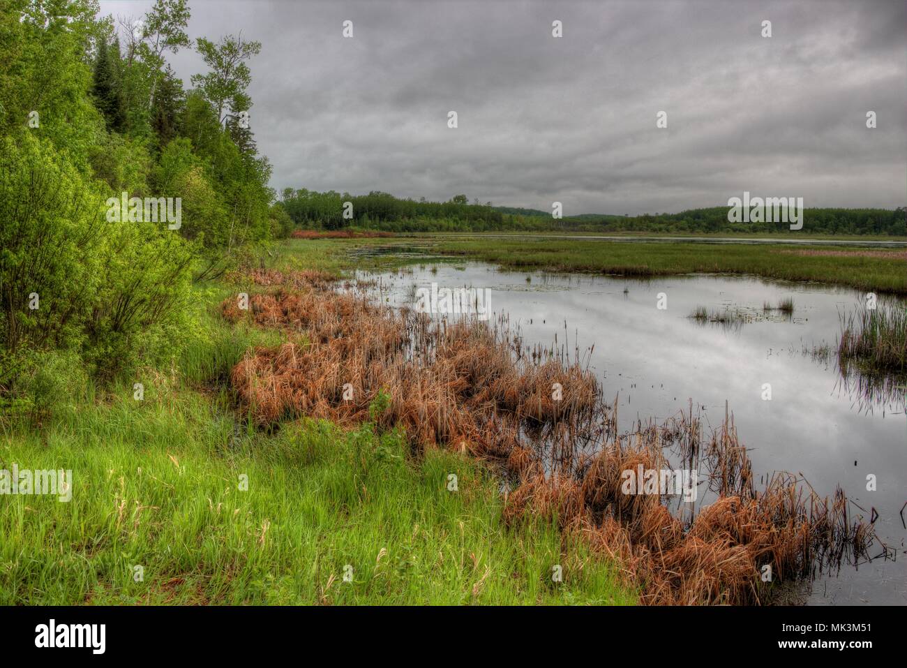 The Lost 40 in Northern Minnesota is a Nature Preserve that resulted ...