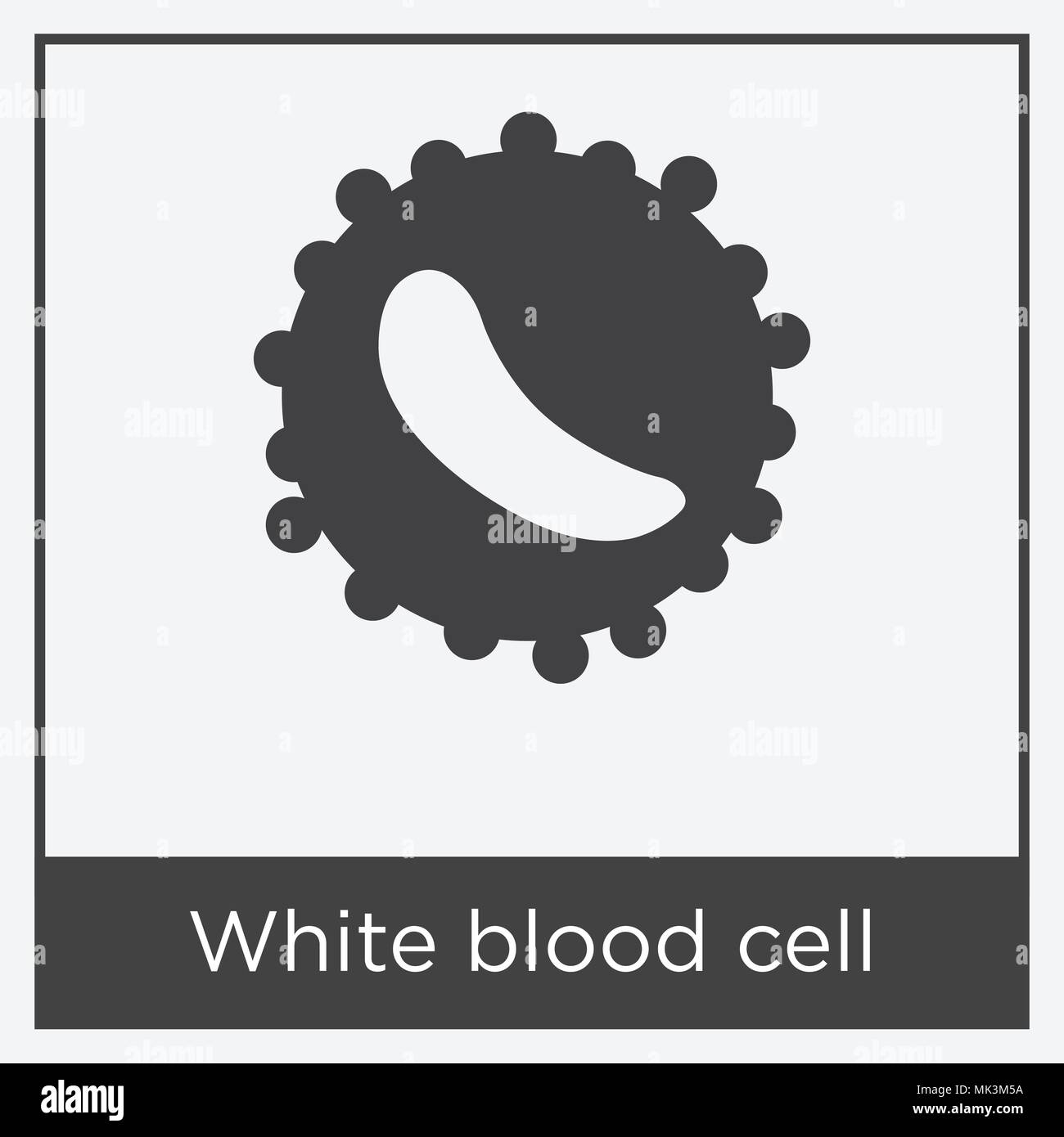 White blood cell icon isolated on white background with gray frame ...