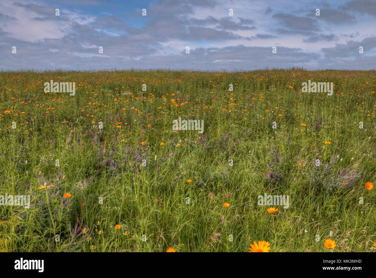 Lake Shetek is a State park in Southern Minnesota. Taken during Summer ...