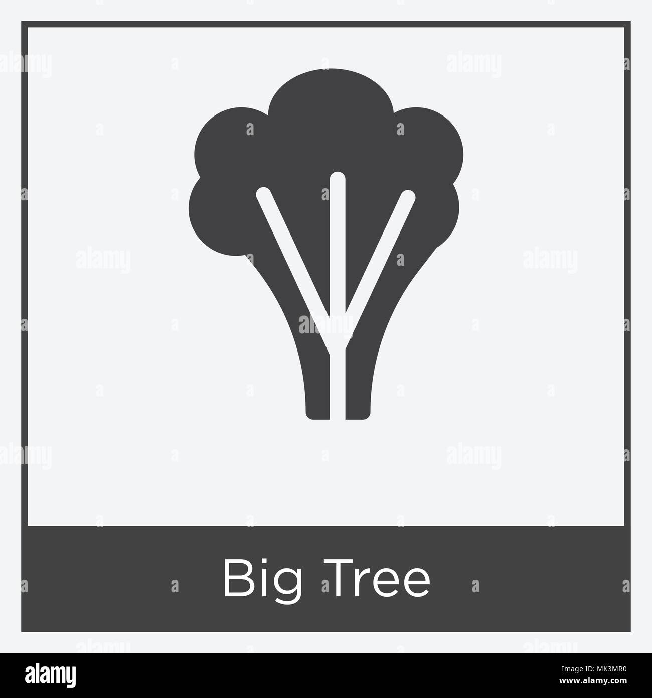 Big Tree icon isolated on white background with gray frame, sign and ...