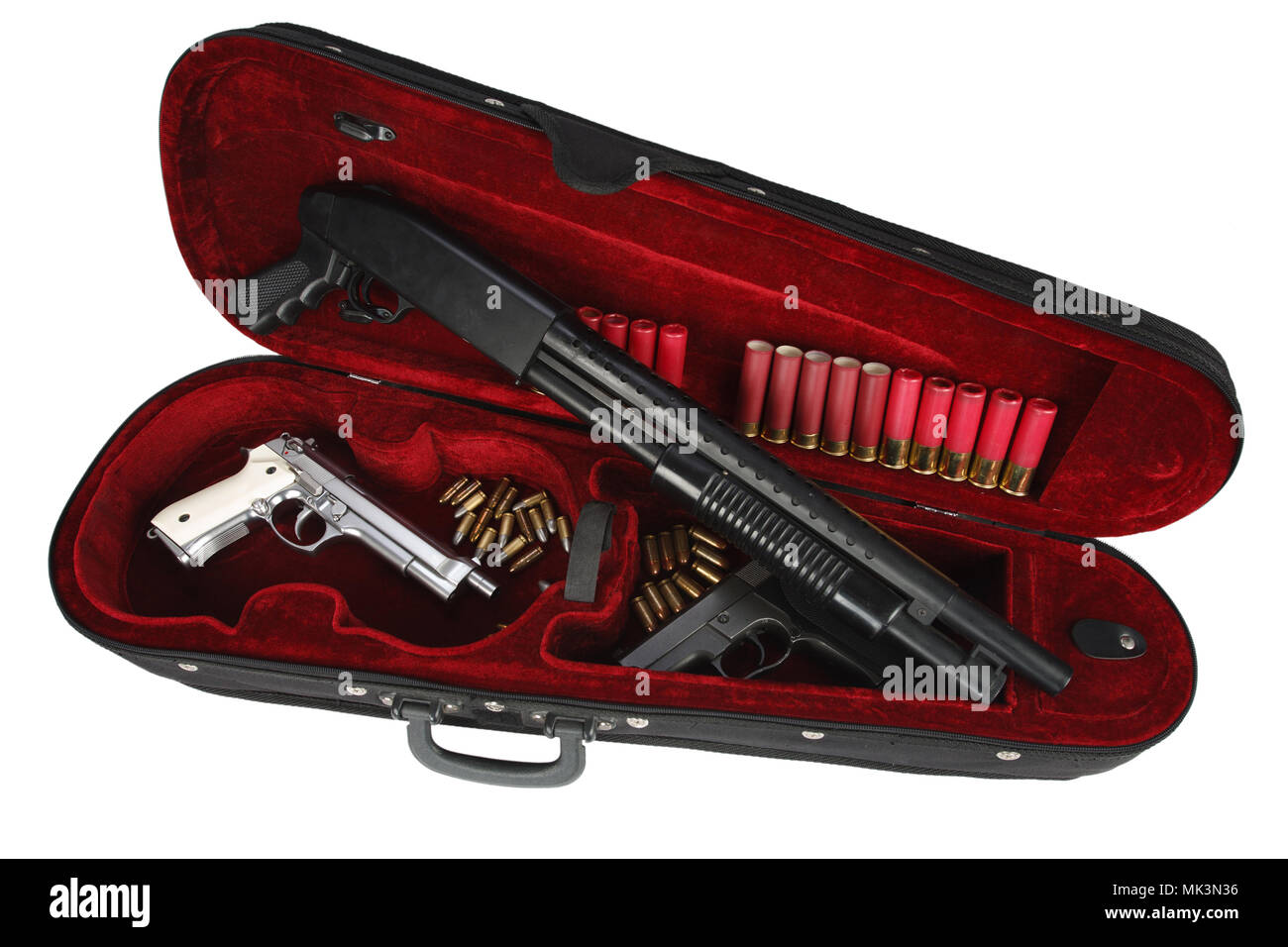 Violin Gun Case