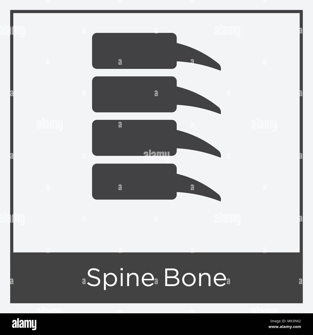Spine Bone icon isolated on white background with gray frame, sign and ...