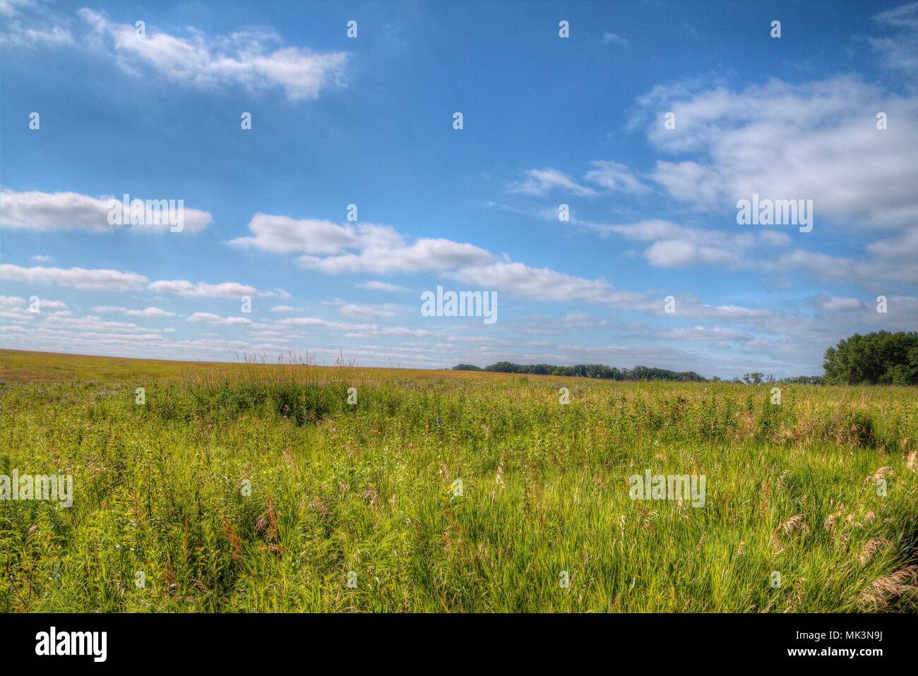 Lake Shetek is a State park in Southern Minnesota. Taken during Summer ...