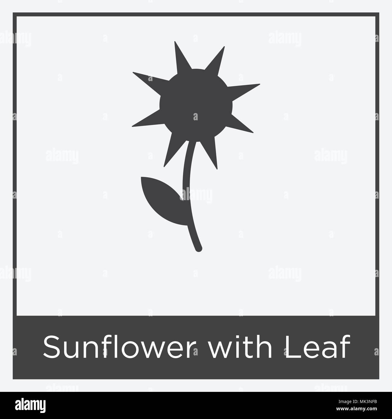 Sunflower png hi-res stock photography and images - Alamy