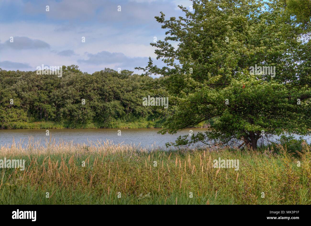 Lake Shetek is a State park in Southern Minnesota. Taken during Summer ...