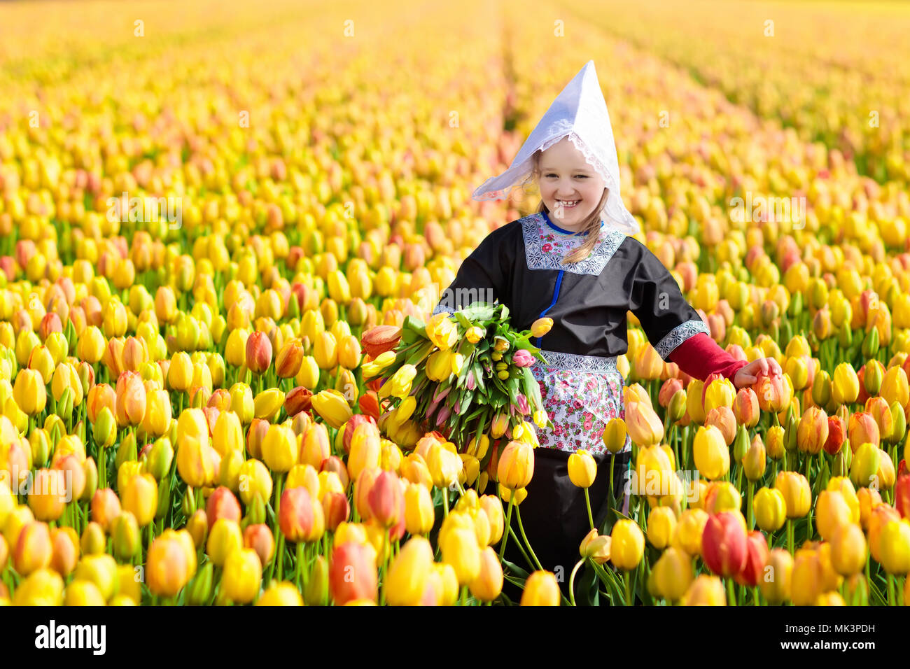 Child in tulip flower field with windmill in Holland. Little Dutch girl ...