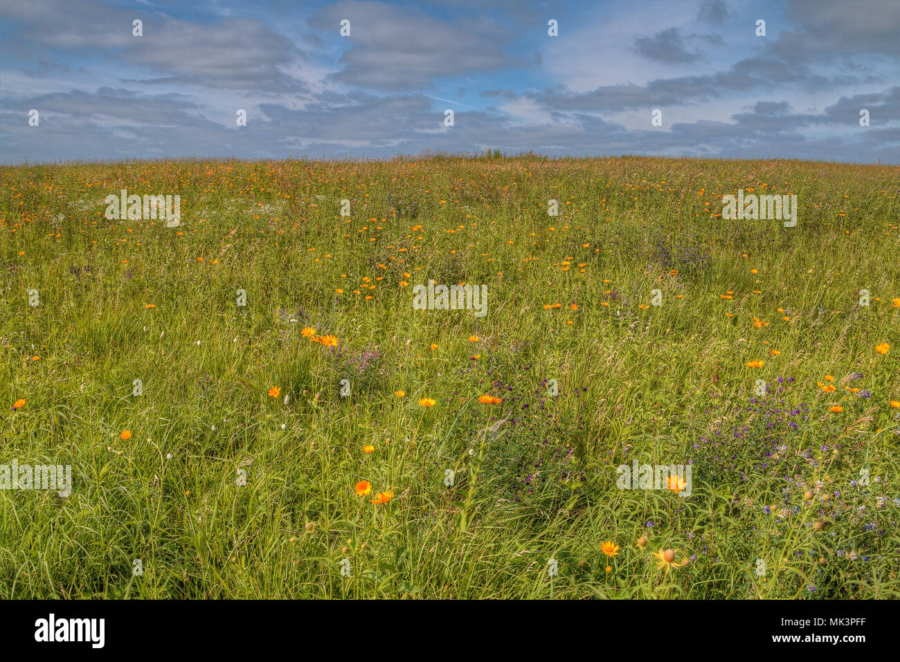 Lake Shetek is a State park in Southern Minnesota. Taken during Summer ...