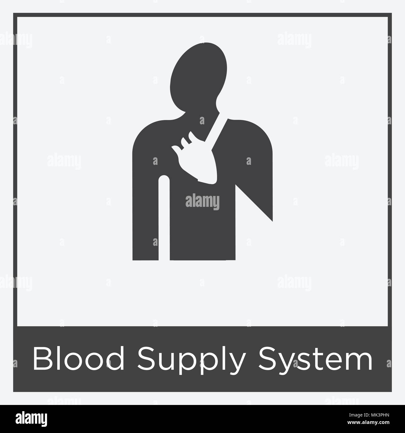 Blood Supply System icon isolated on white background with gray frame ...