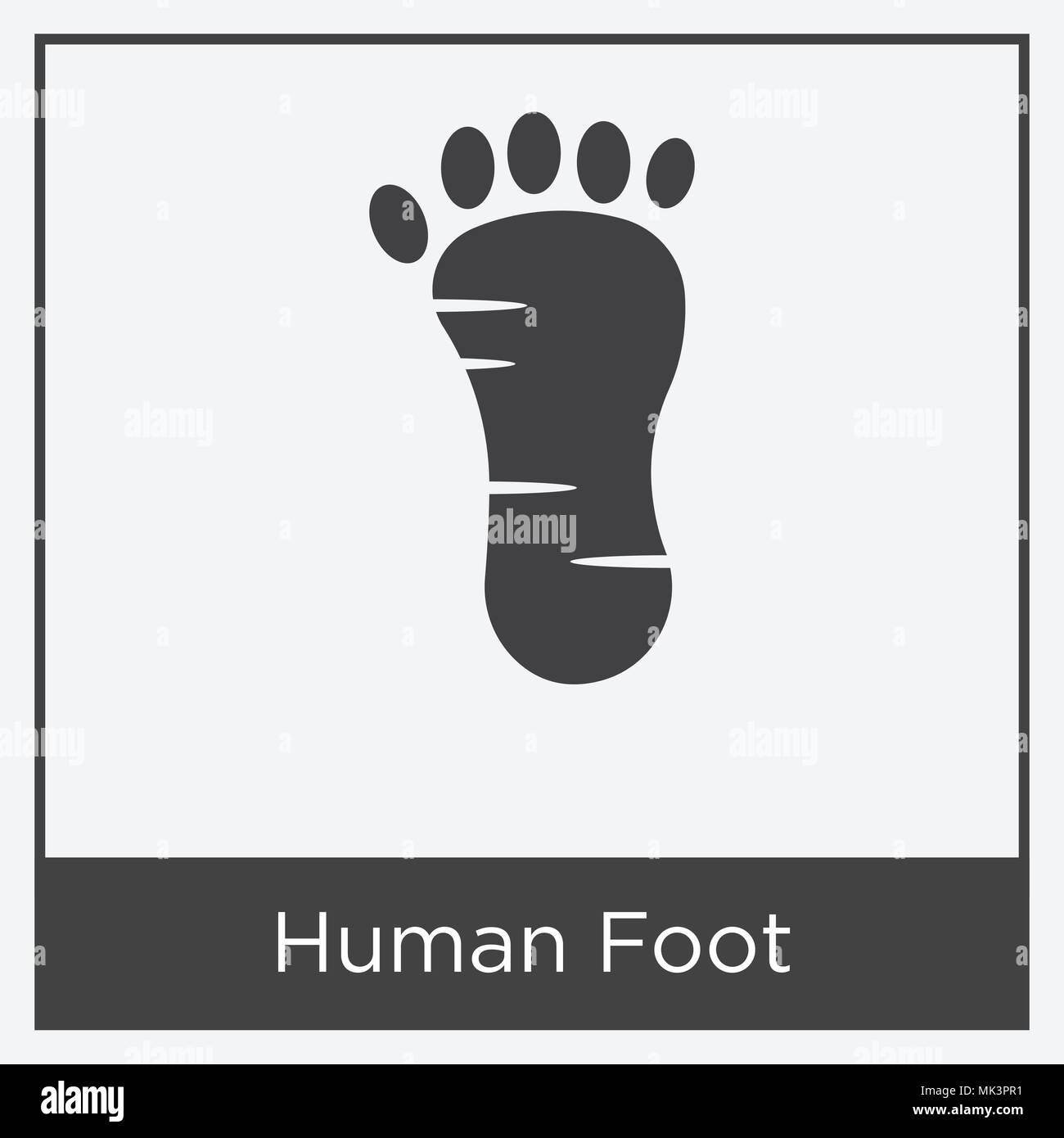 Human Foot icon isolated on white background with gray frame, sign and ...