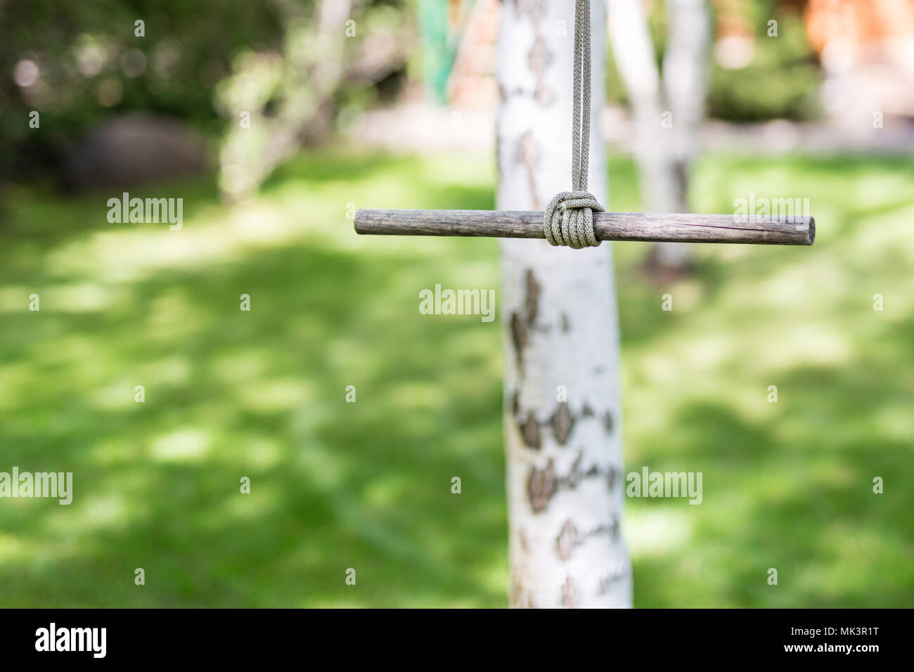 Wooden single rope swing in garden on bright sunny day. Green grass ...