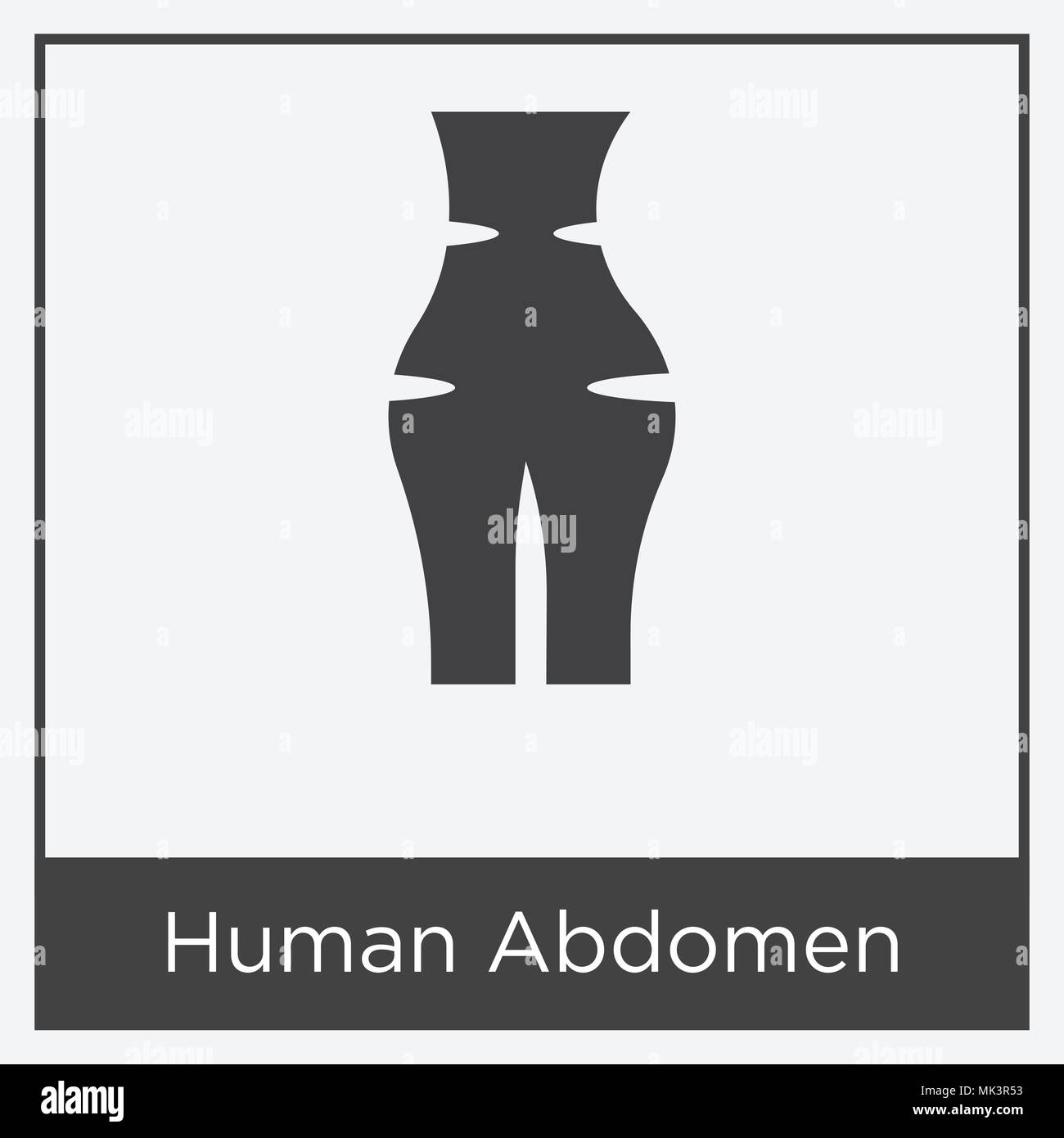 Human Abdomen icon isolated on white background with gray frame, sign ...