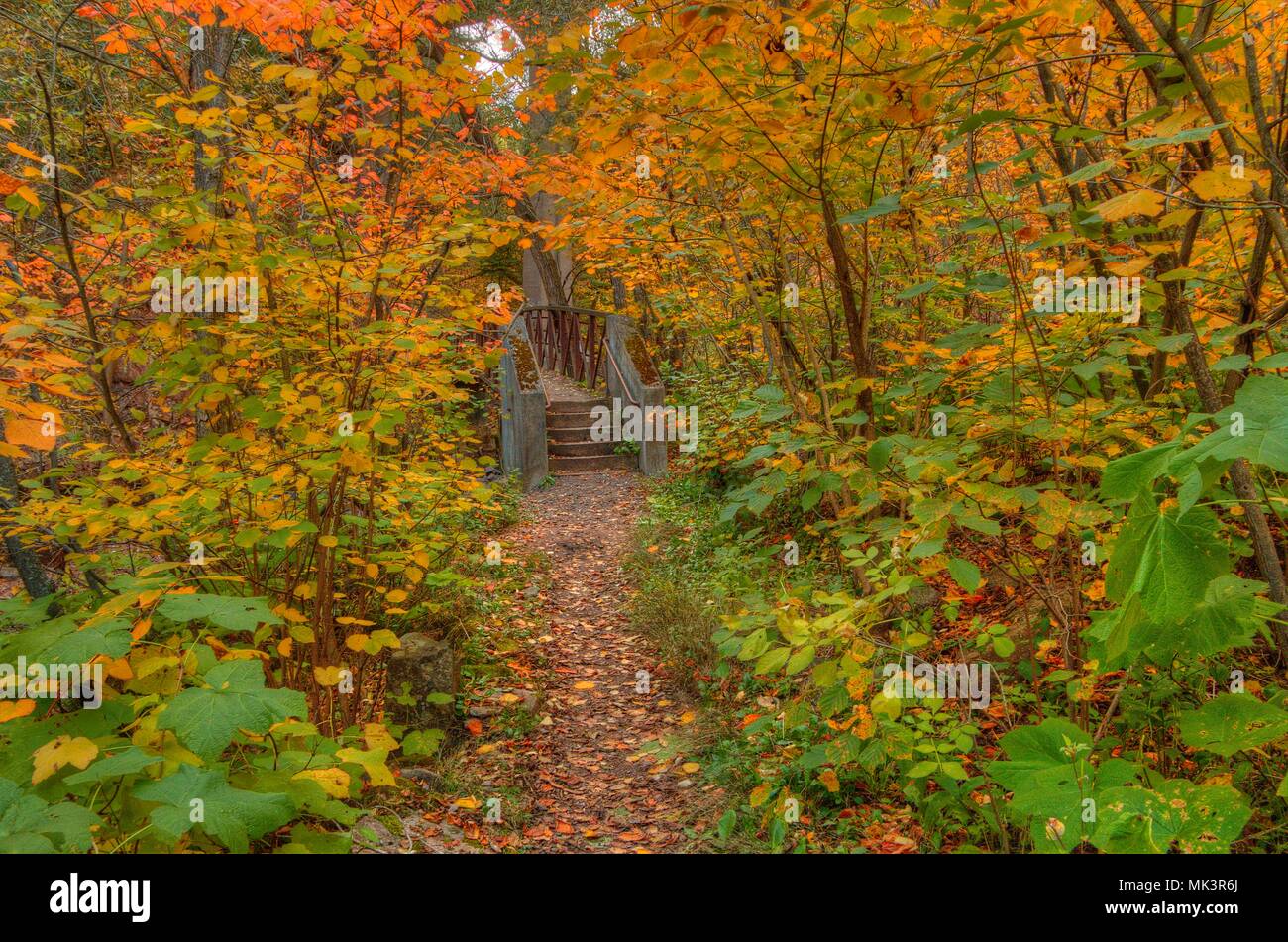 Congdon park hi-res stock photography and images - Alamy