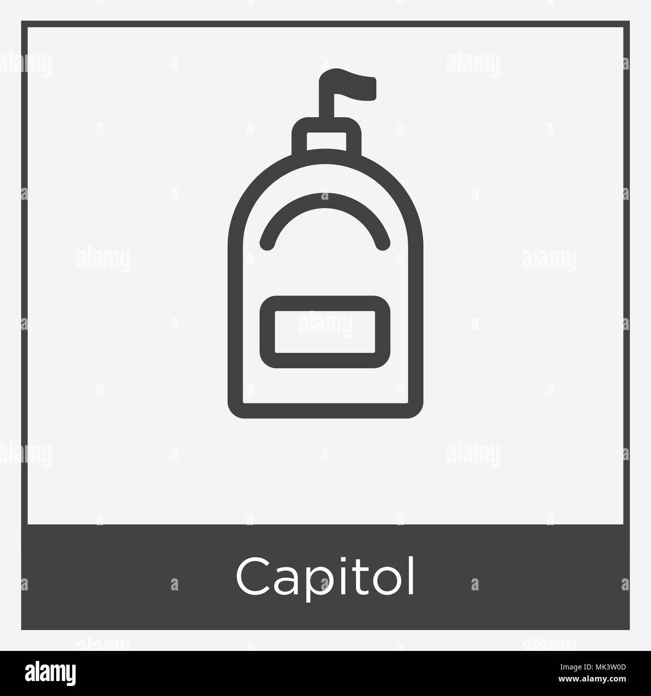 Washington dc capitol map Stock Vector Images - Alamy