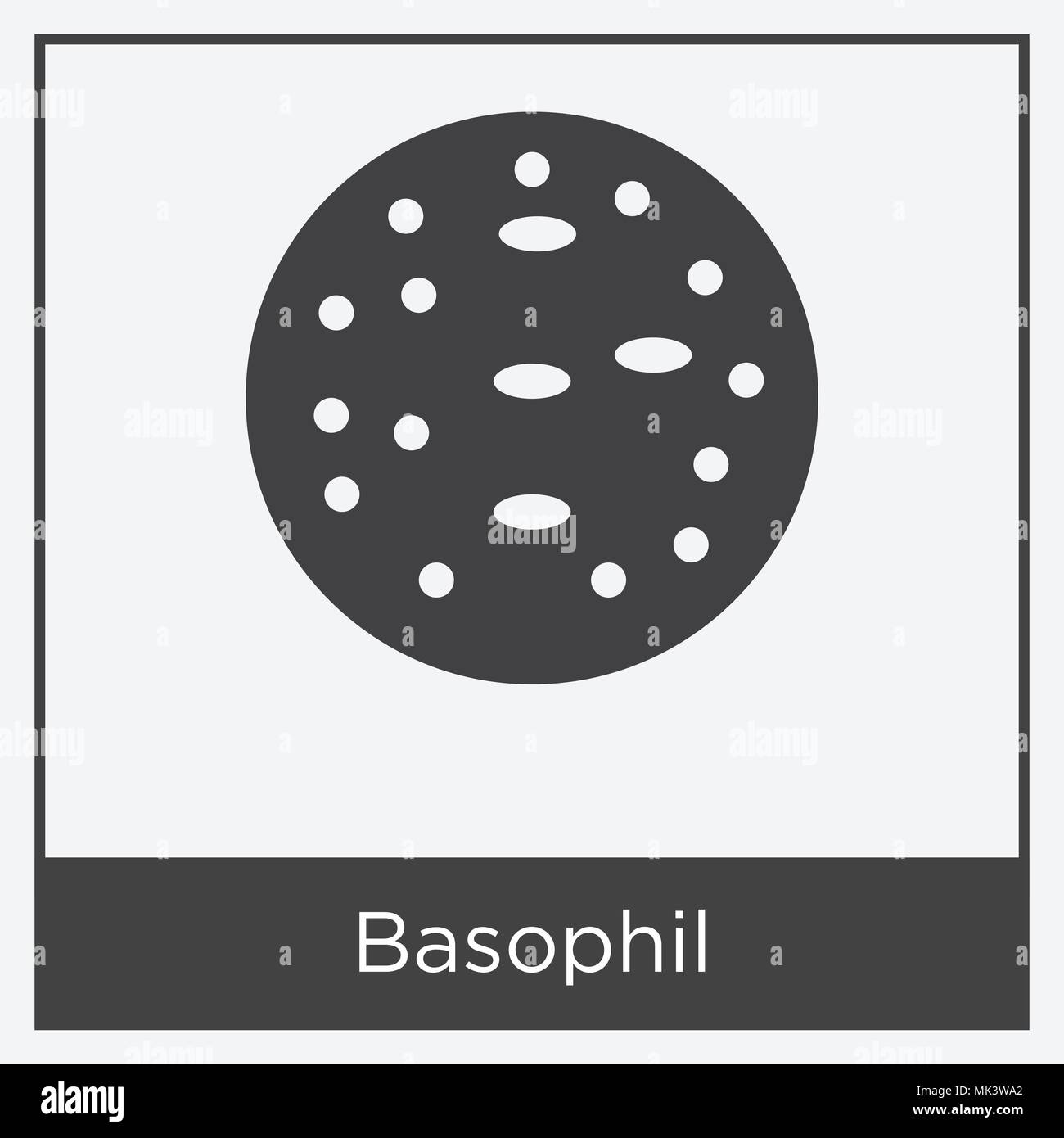 Basophil icon isolated on white background with gray frame, sign and ...