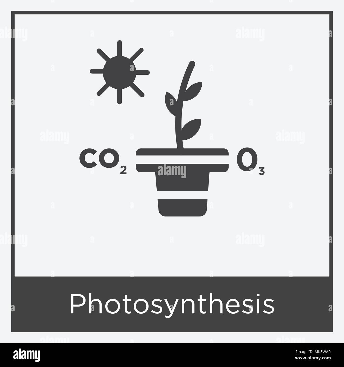 Artificial photosynthesis Stock Vector Images - Alamy