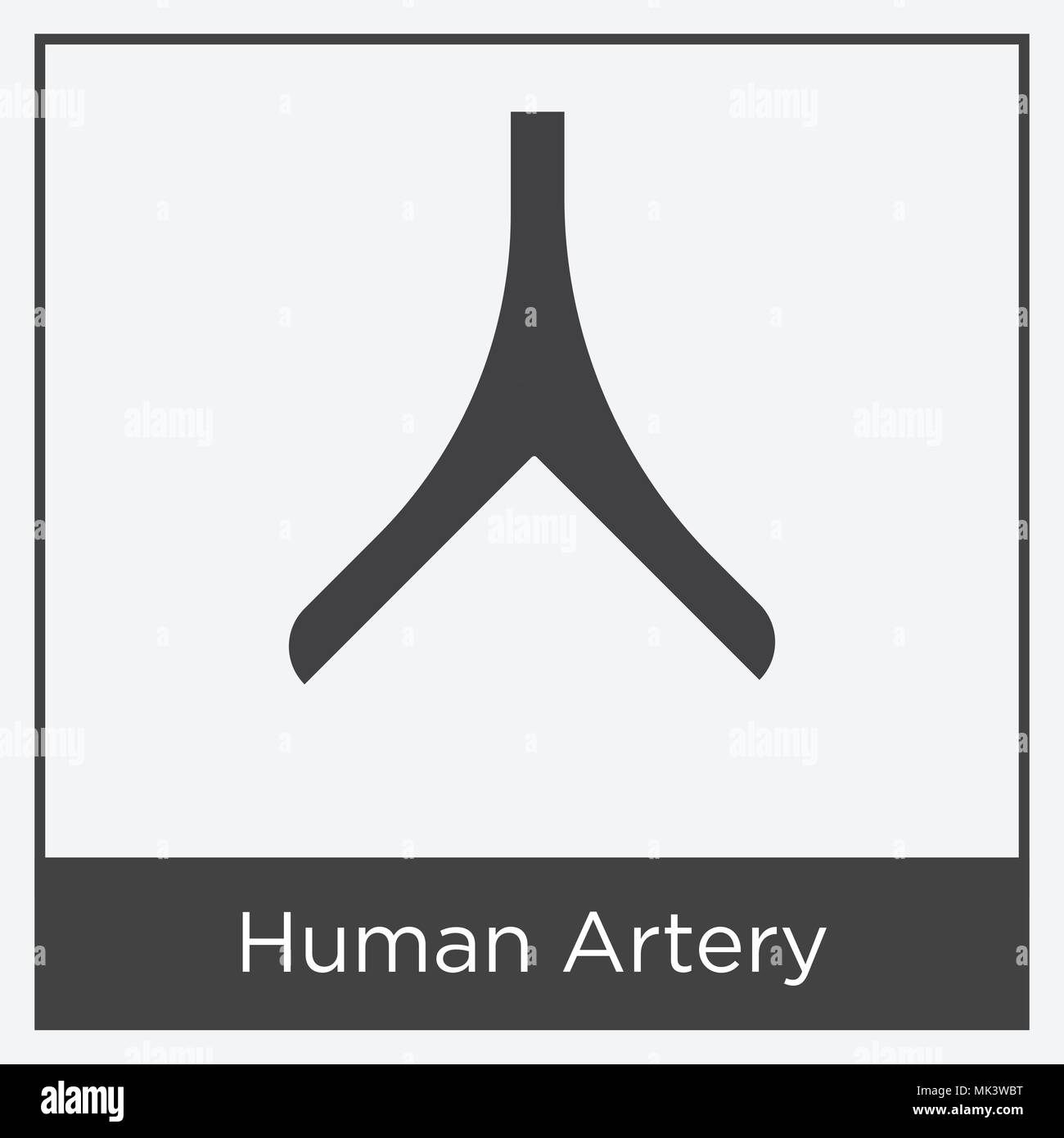 Human Artery icon isolated on white background with gray frame, sign ...