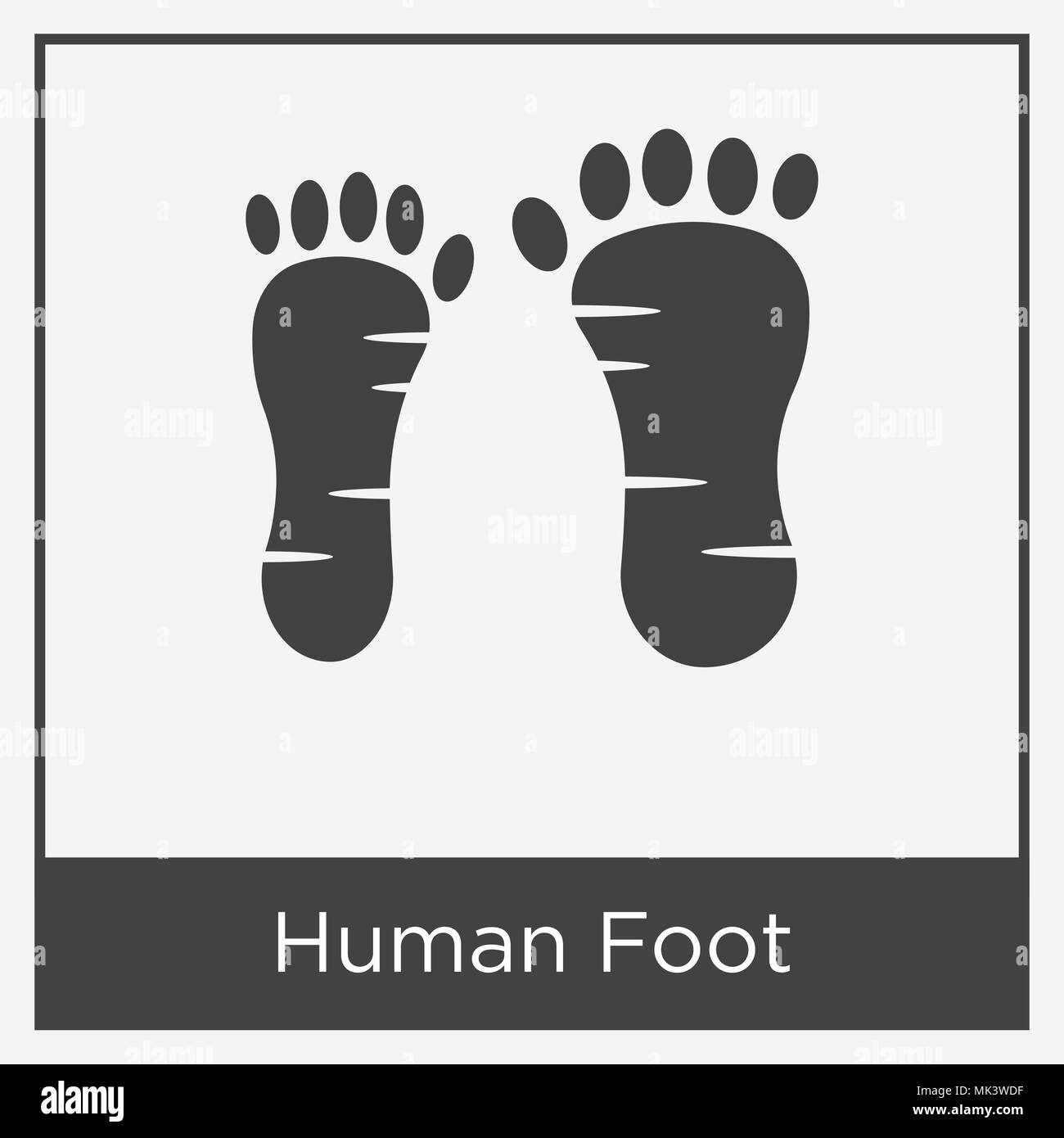 Human Foot icon isolated on white background with gray frame, sign and ...