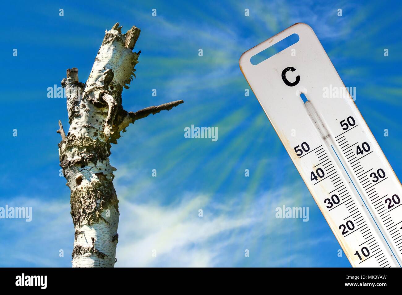 Hot dry summer. Climate change. Thermometer and dry landscape. The ...